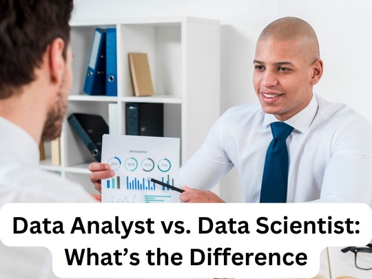 Data Analyst Vs Data Scientist Whats The Difference Theamberpost